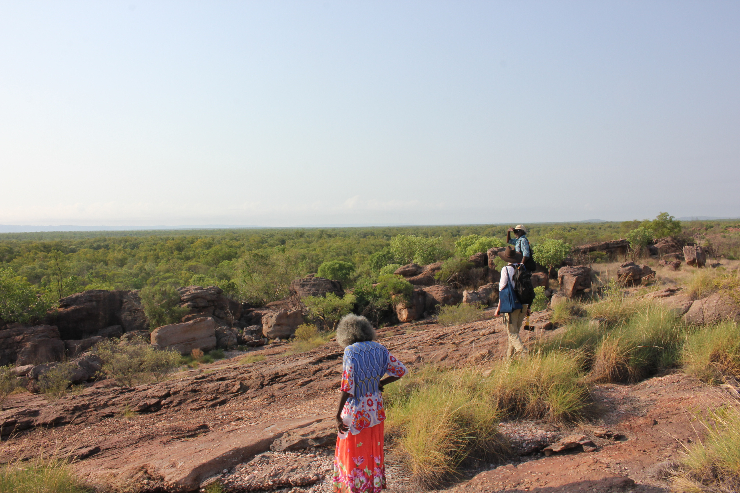 The first Australian plant foods at Madjedbebe, 65–53,000 years ago ...