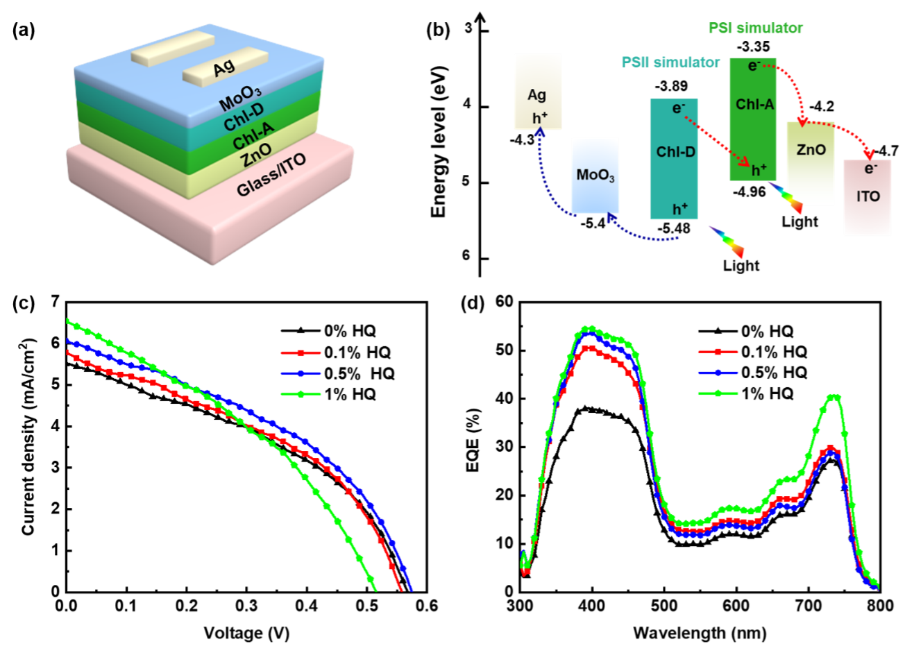 Hydroquinone redox mediator enhances the photovoltaic performance of ...