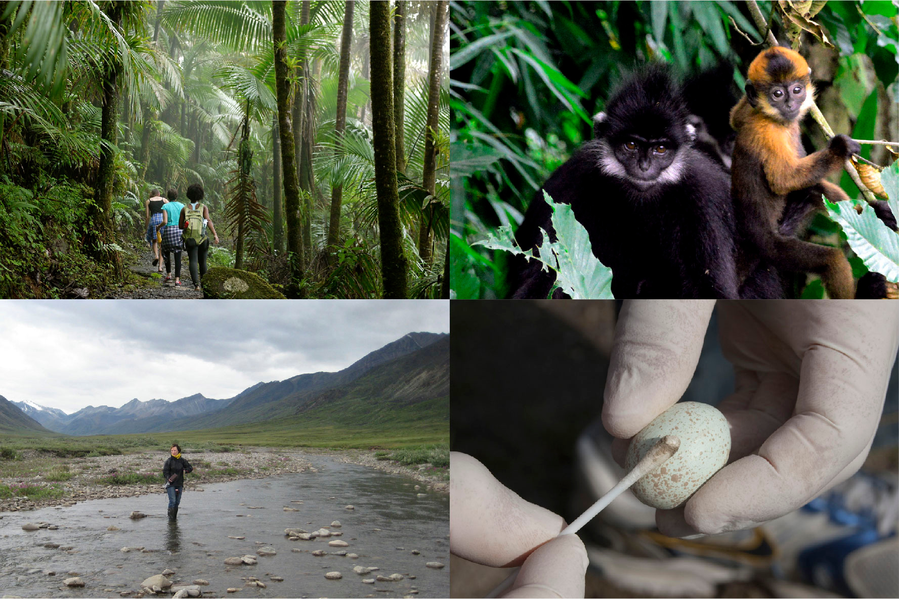 Wrangling the microbiomes of Earth | Research Communities by Springer ...