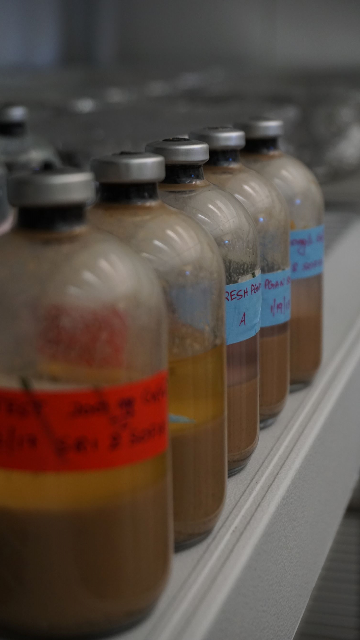 Microbial chain elongation of carboxylates – a mud and soil business ...