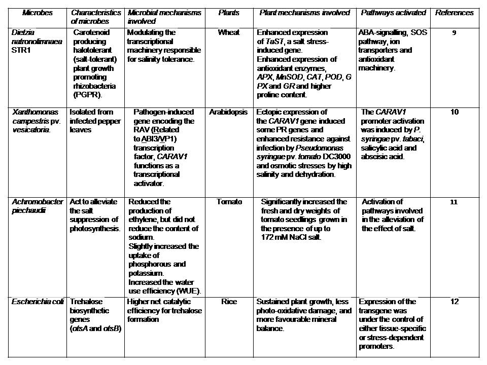 Microbe-mediated salinity tolerance in plants | Research Communities by ...