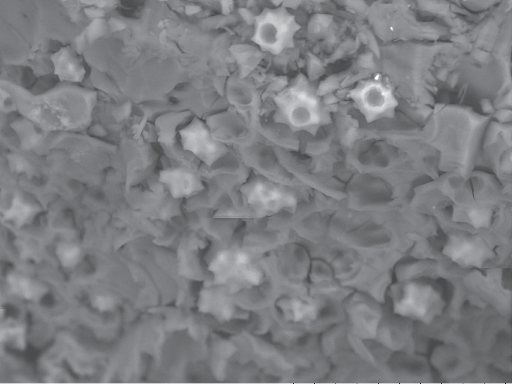 The first Australian plant foods at Madjedbebe, 65–53,000 years ago ...