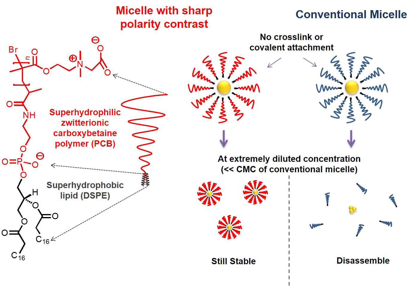 Micelles with ultralow critical micelle concentration | Research ...