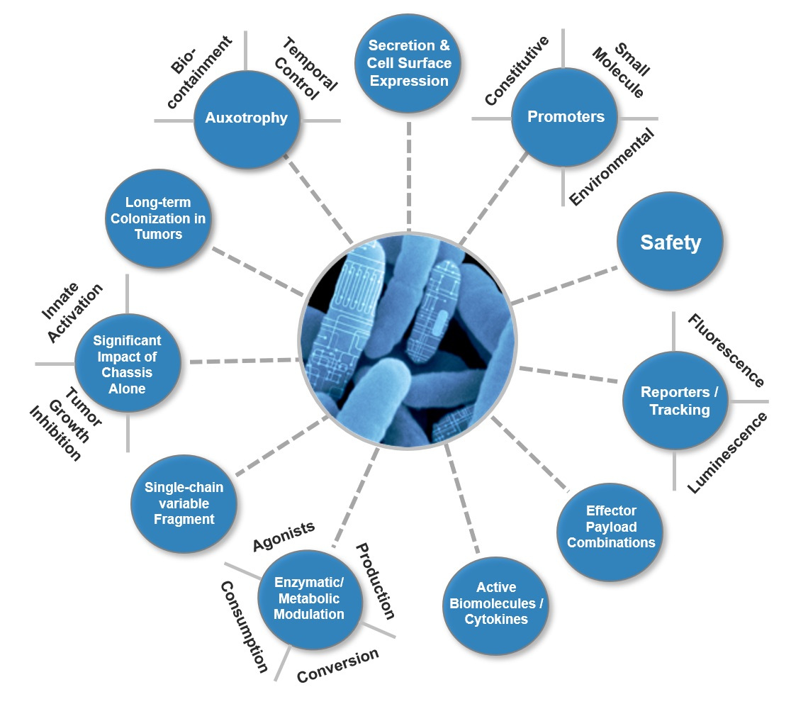 Designing Bugs Against Cancer | Research Communities by Springer Nature