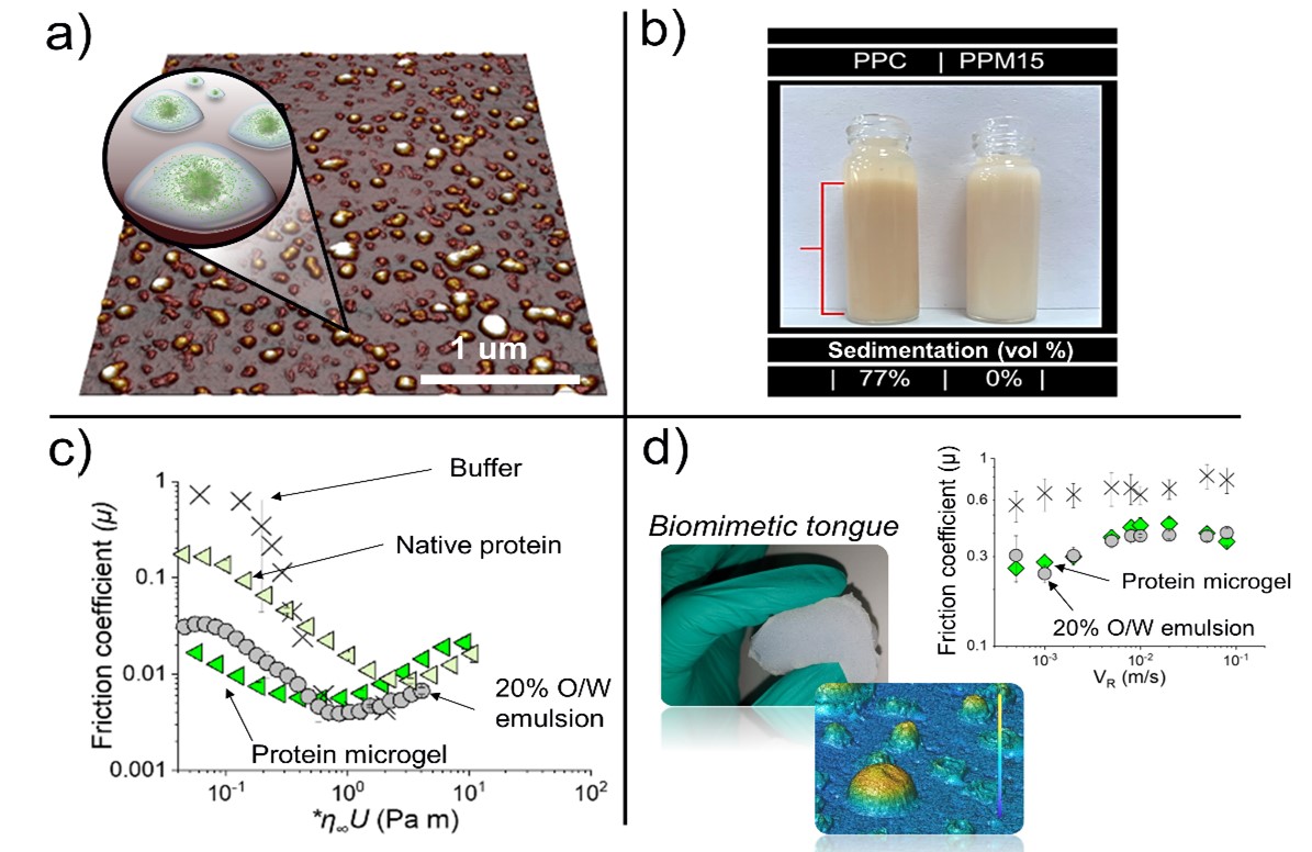Transforming sustainable plant proteins into high performance ...