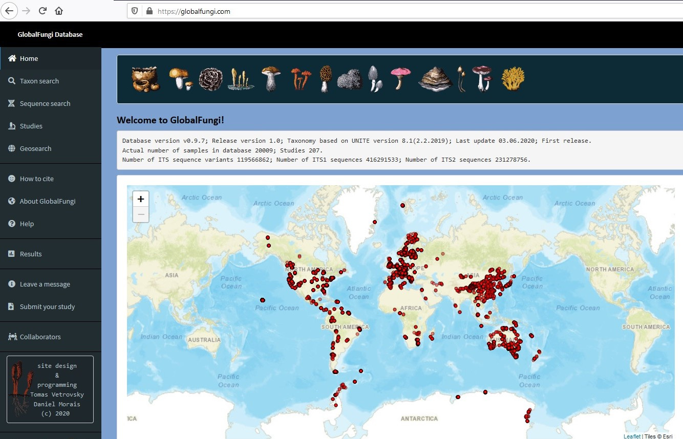 Global atlas of fungi – the GlobalFungi Database | Research Communities ...
