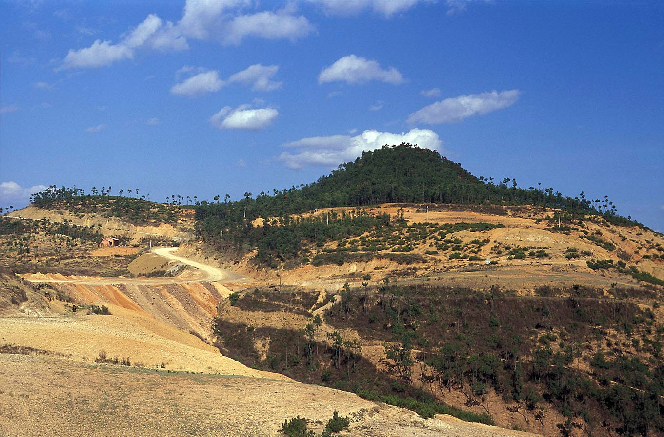 A Cambrian Can of Worms | Research Communities by Springer Nature