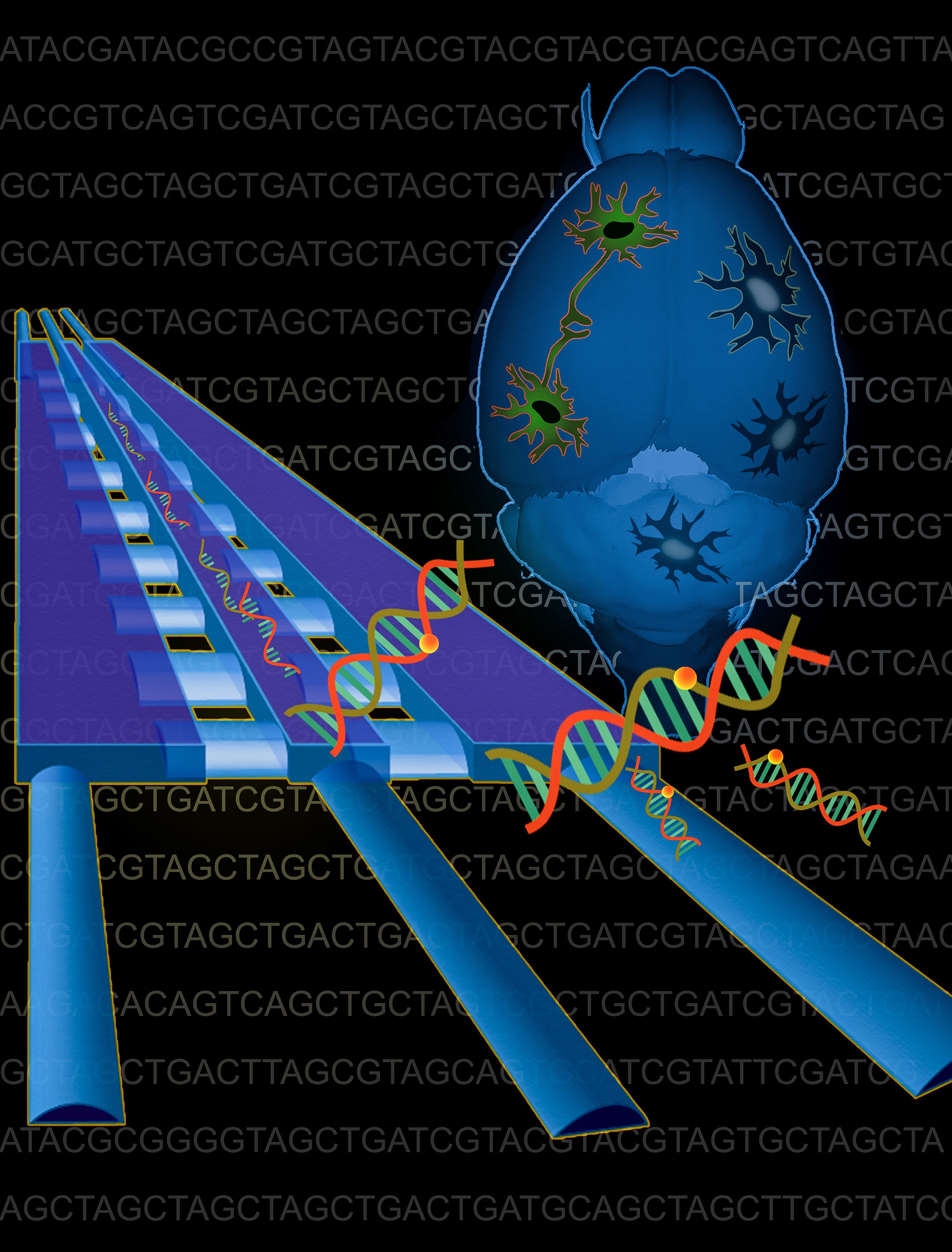 Using microfluidics to map brain epigenomes | Research Communities by ...