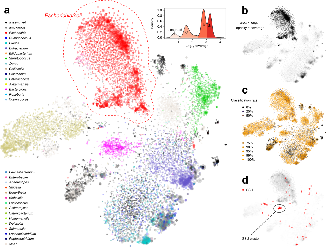 Capturing microbial dark matter by visualizing them | Research ...