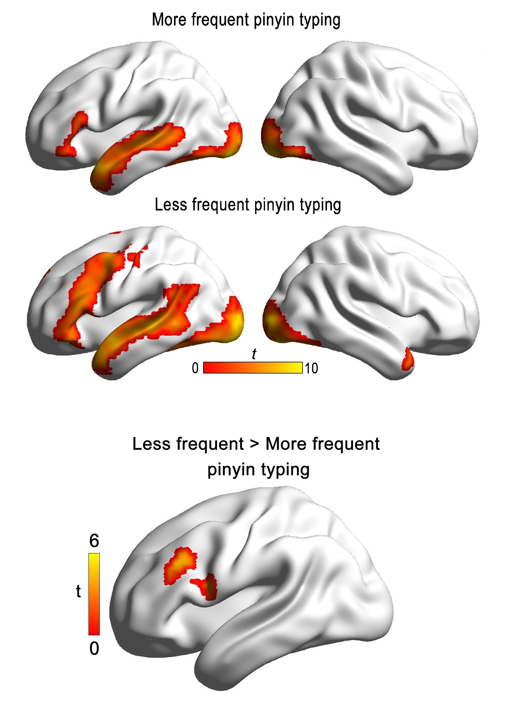 China’s popular language input system and neurodevelopment of reading ...