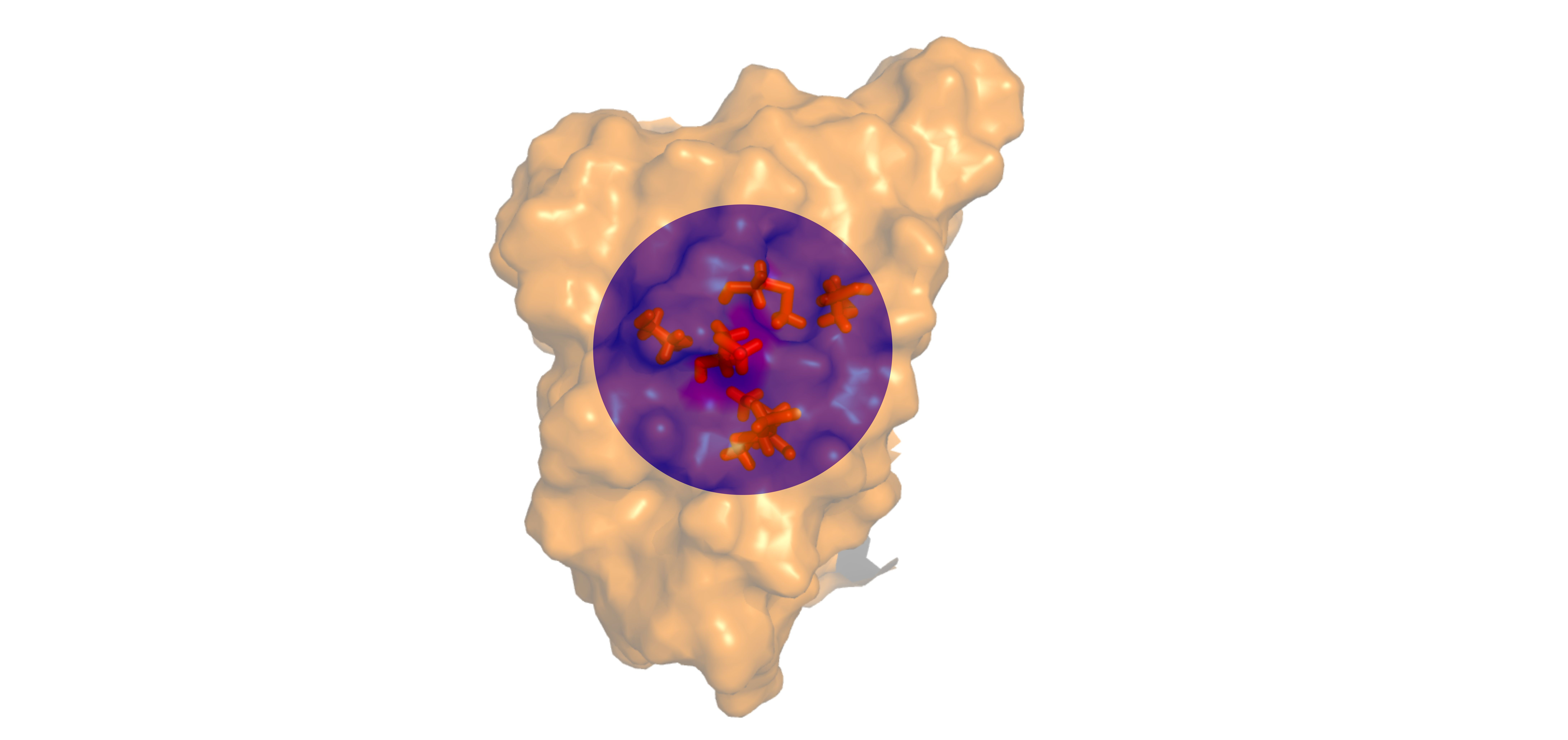 Methionine drives tight binding in spider silk | Research Communities ...