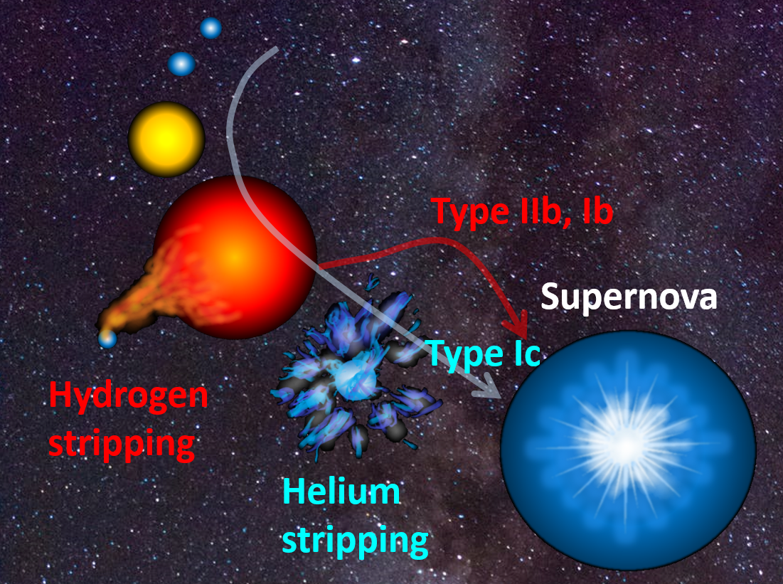 A hybrid mechanism works for massive stars in losing their weight ...