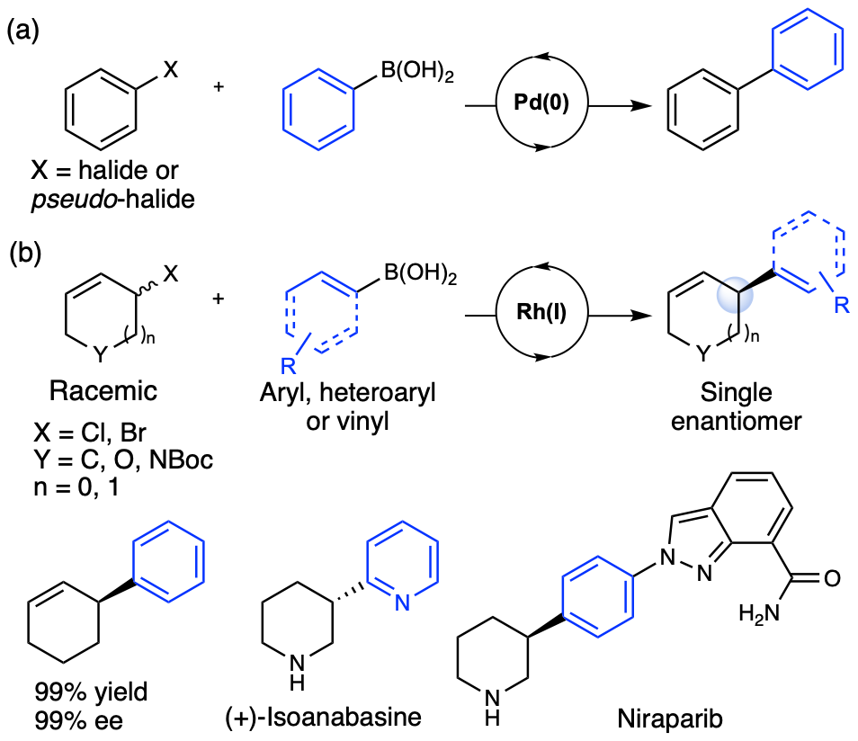 Mechanistic Investigation of a Rhodium Catalysed Asymmetric Suzuki ...