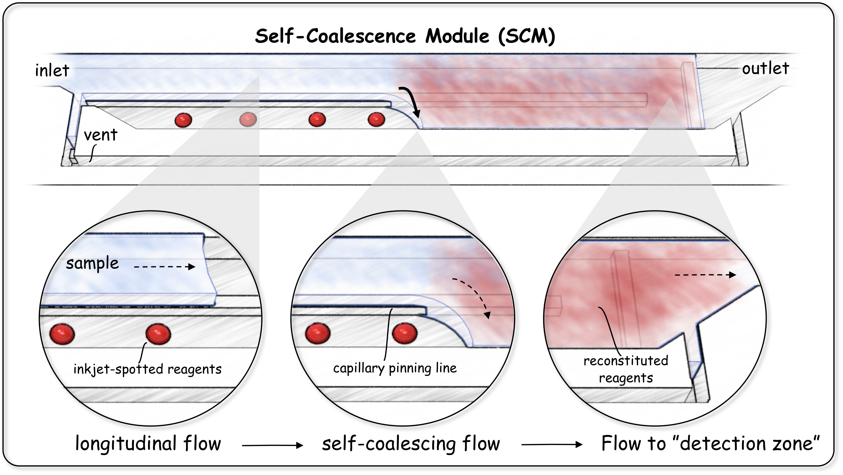 Self-Coalescence physics: Understanding and using the fluid version of ...