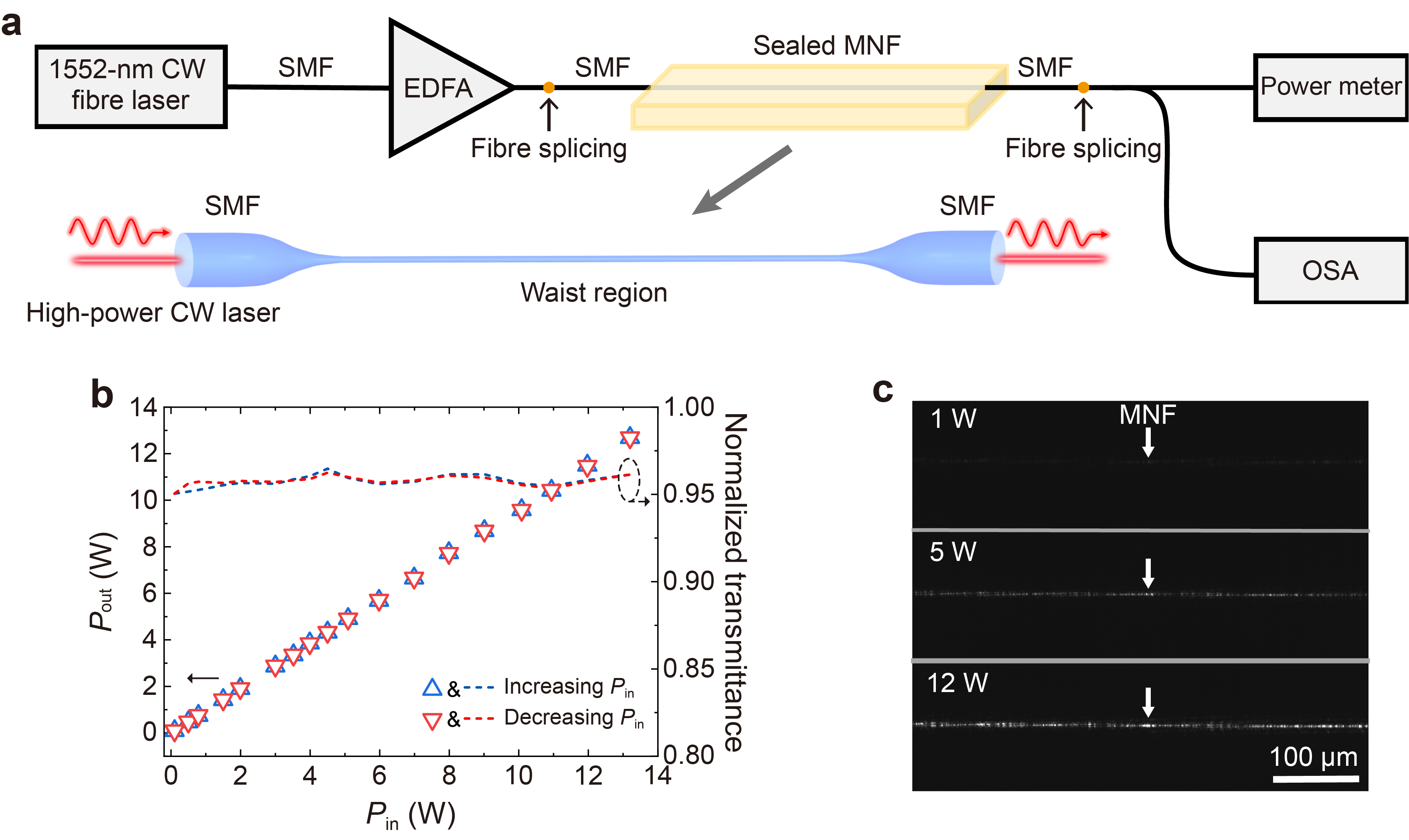 High-power optical continuous-wave waveguiding in a silica micro ...