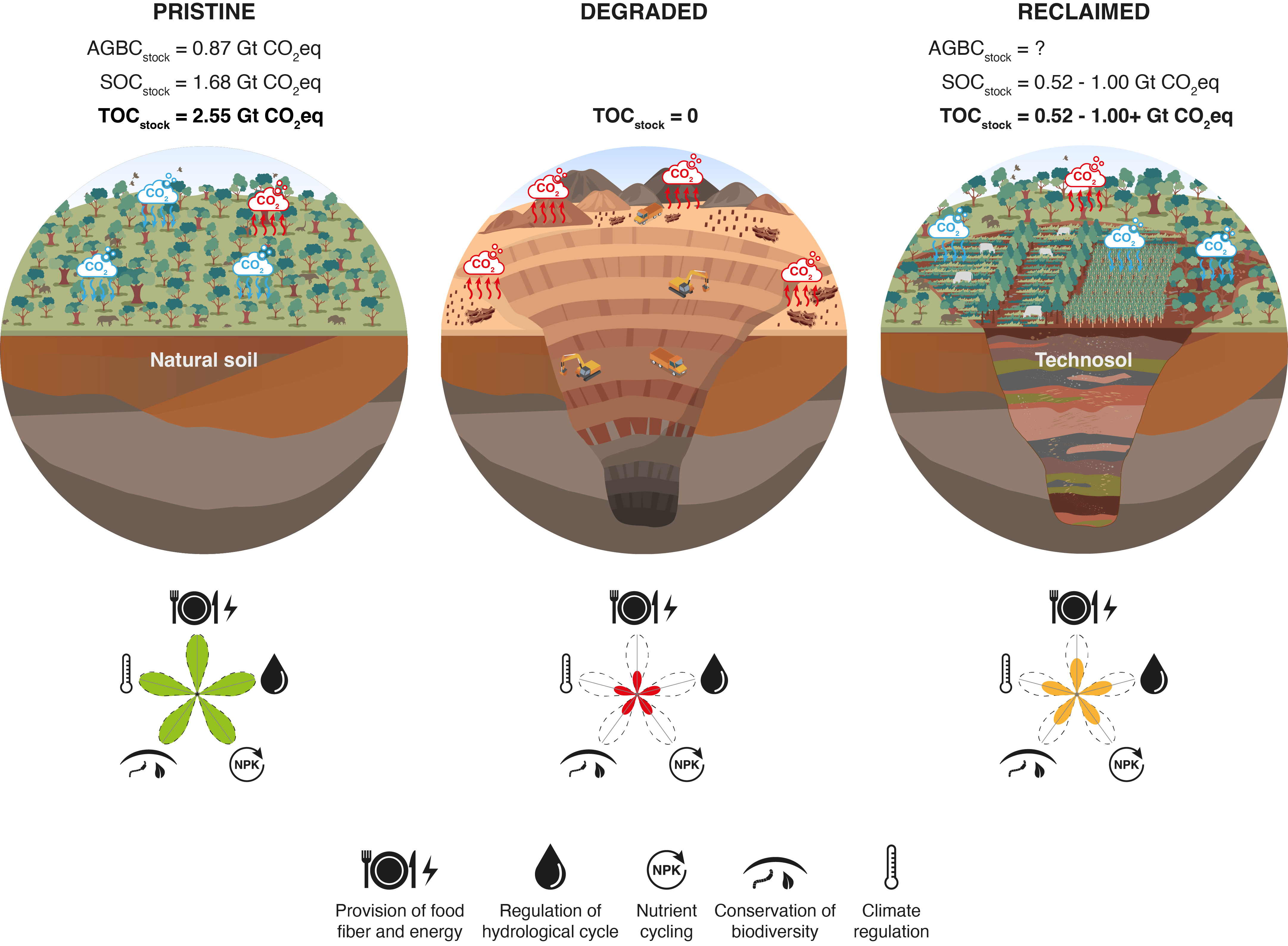 Unlocking the Potential: Waste-Based Soil Reconstruction to Tackle Carbon Dioxide Emissions in ...