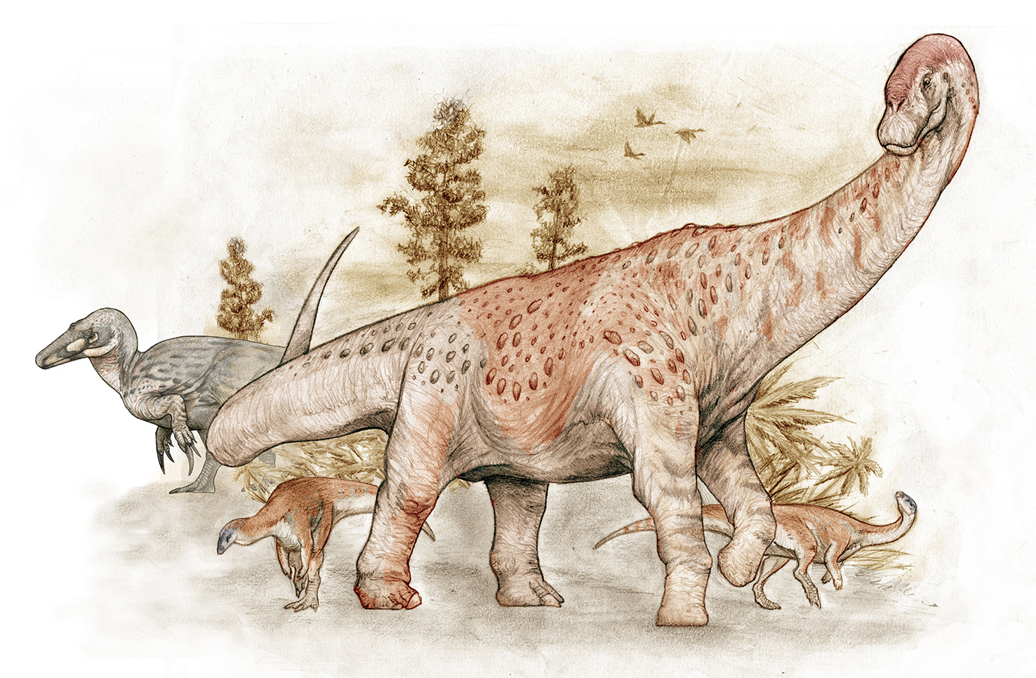 Insects that lived alongside with the last dinosaurs in Patagonia ...