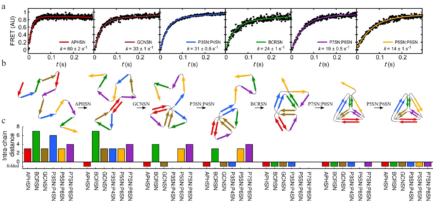 Design of the protein folding pathway | Research Communities by ...