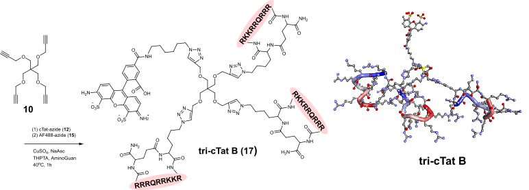 Storming the Citadel: Delivering Antibodies into Cancer Cells ...
