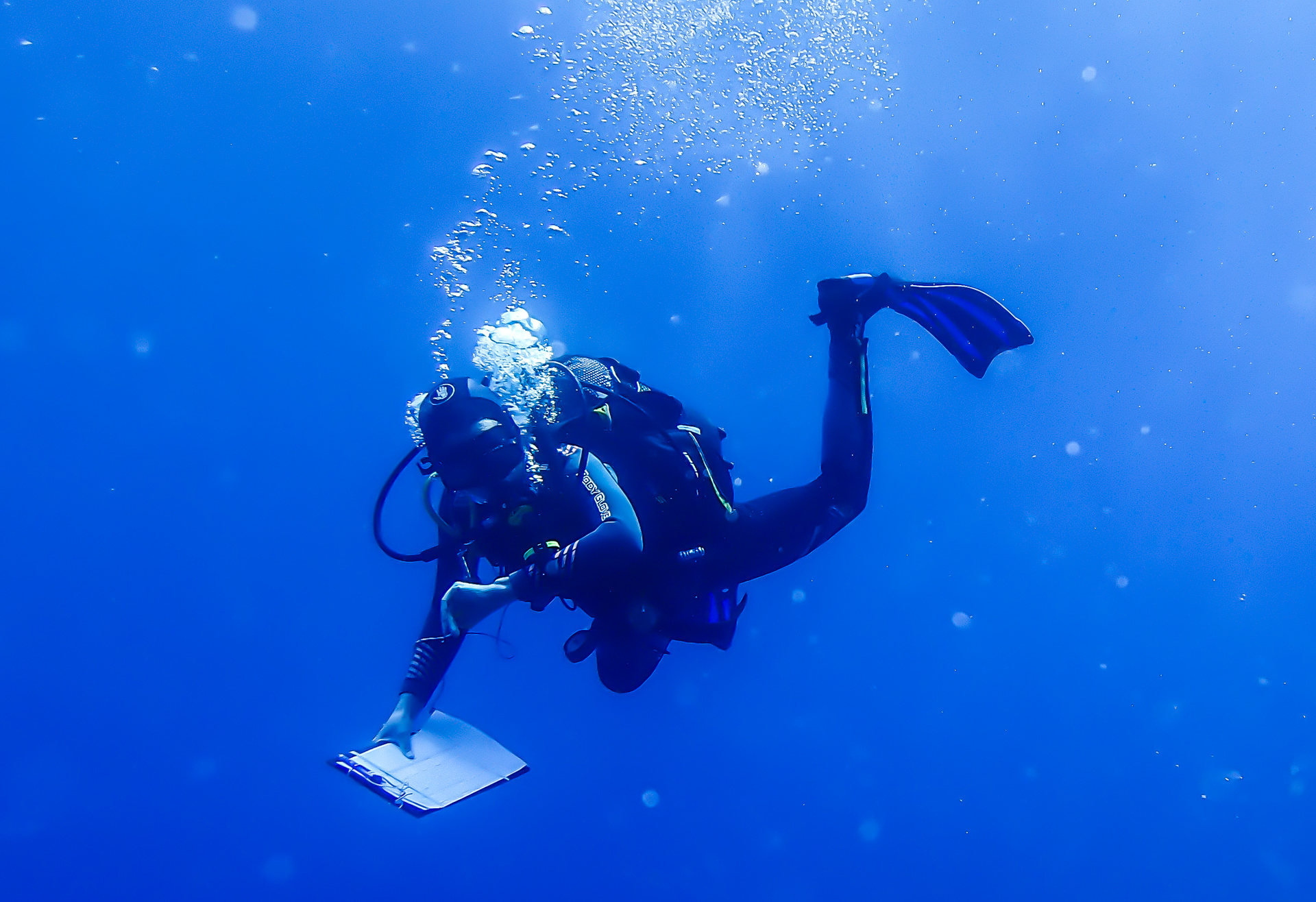 Fish on the edge: a meta-analysis reveals edge effects within marine ...