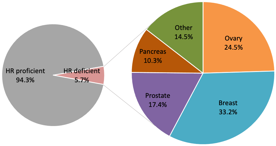 CHORD: an easy-to-use scar-based Classifier of HOmologous Recombination ...