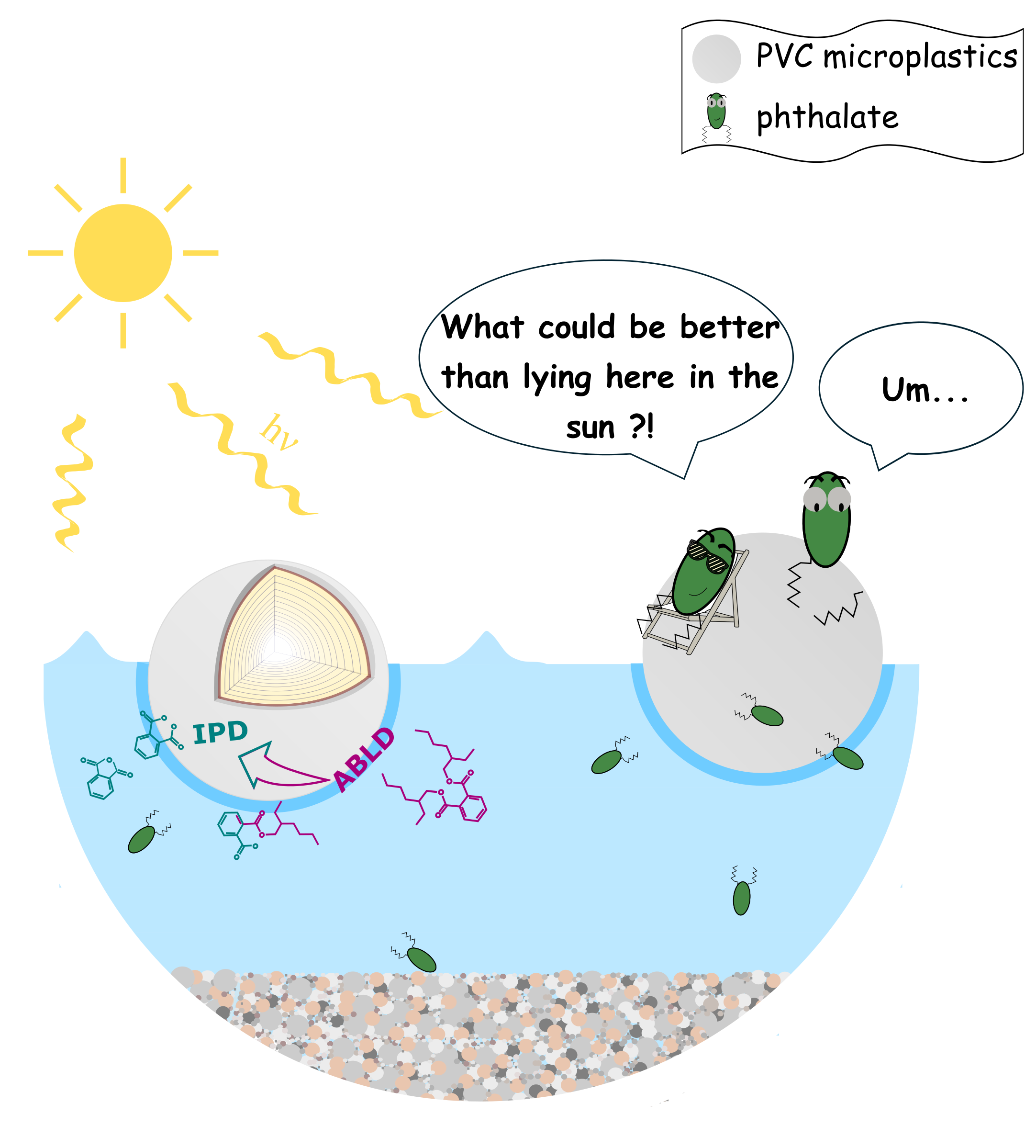 Photoaging enhances the leaching of di(2-ethylhexyl) phthalate and ...