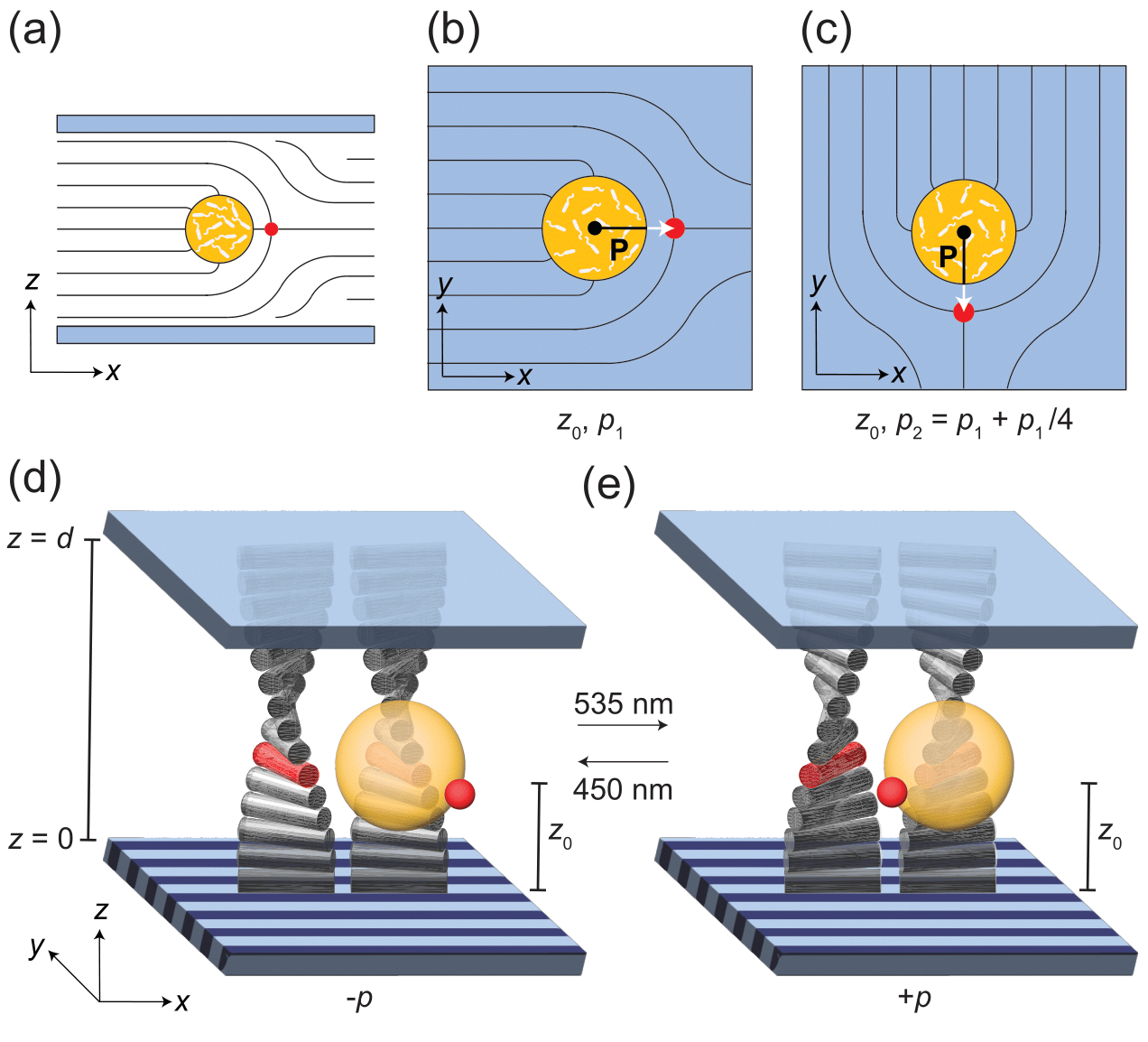 Dynamic control of active droplets using light | Research Communities ...
