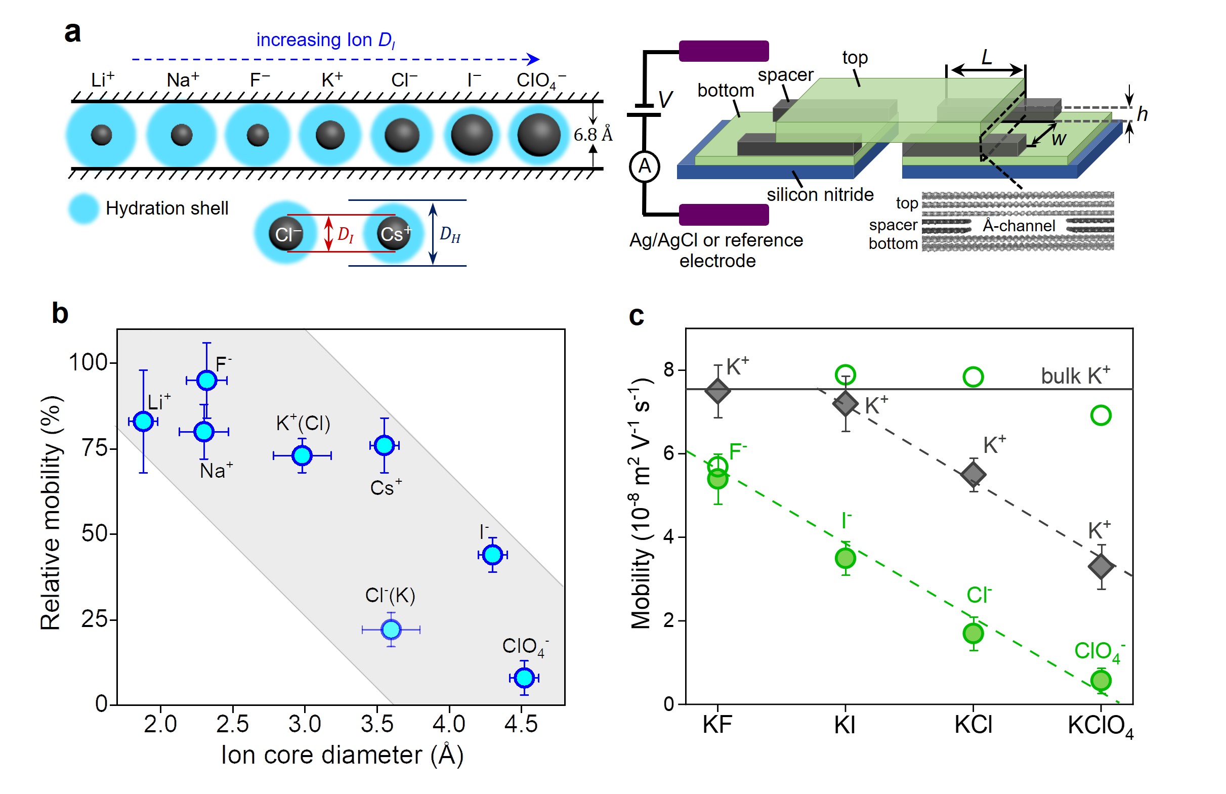 Beyond steric selectivity of ions using angstrom-scale capillaries ...