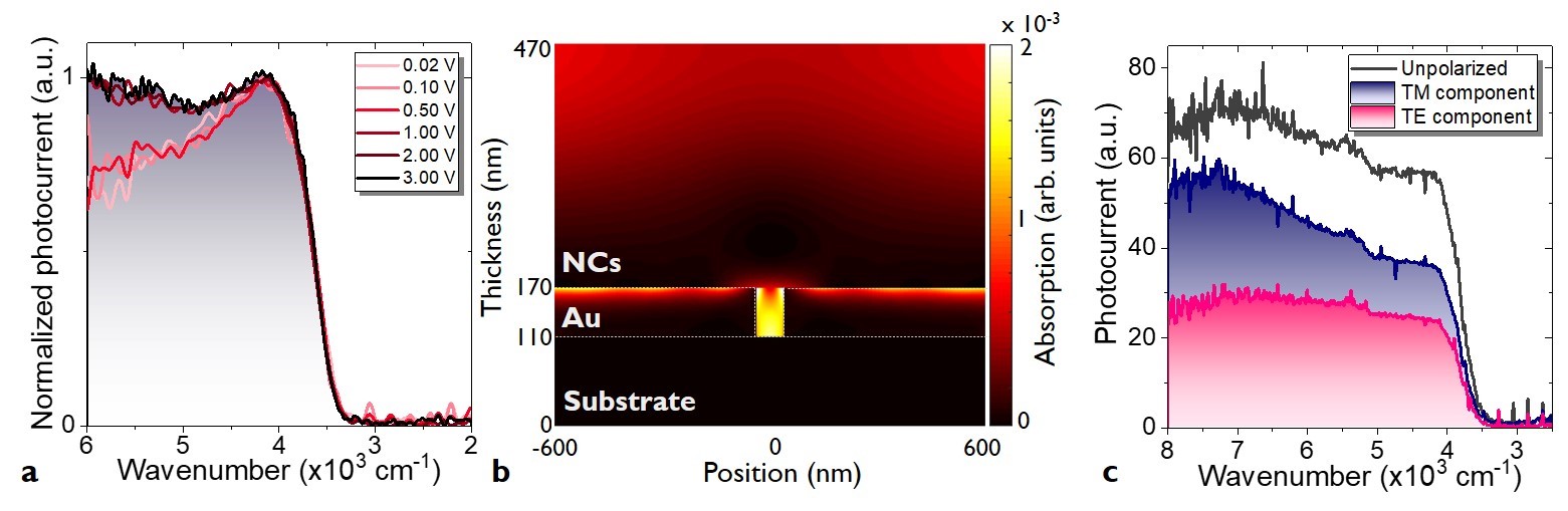 Infrared photoconduction at the diffusion length limit in HgTe ...