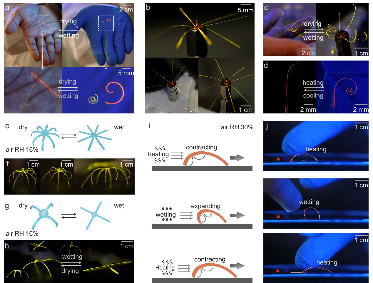 Bioinspired Soft Robots based on Organic Polymer-Crystal Hybrid ...