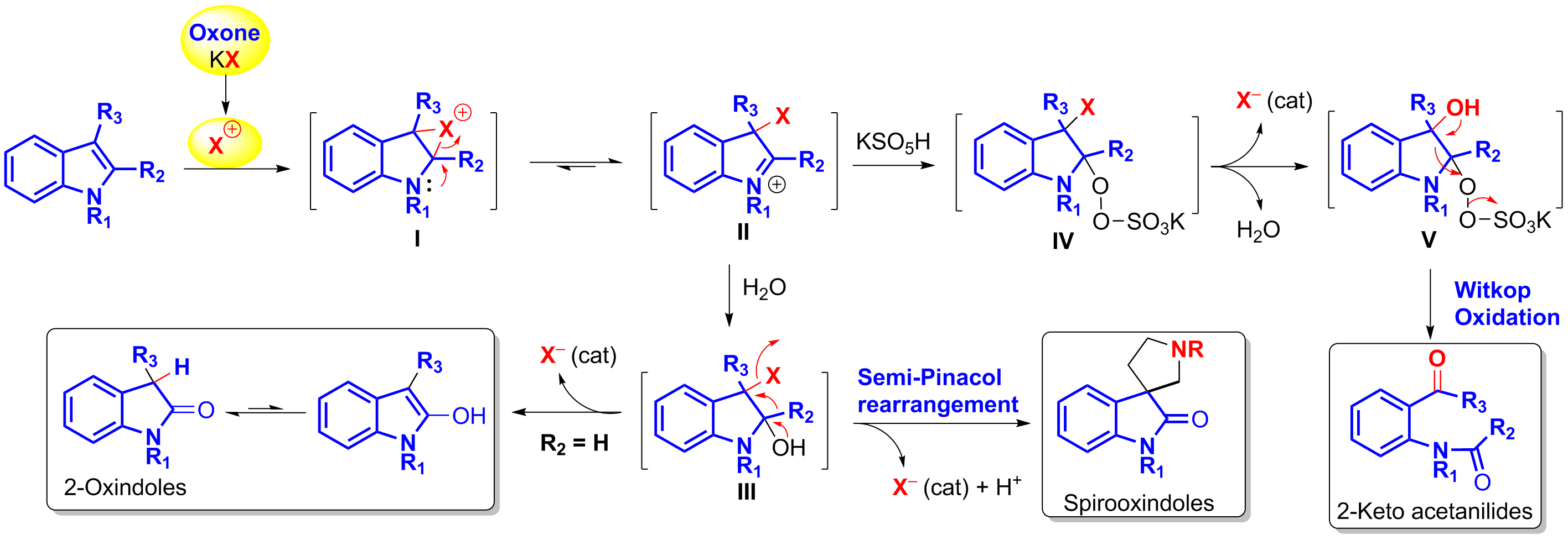 Green Oxidation of Indoles using halide Catalysis | Research ...