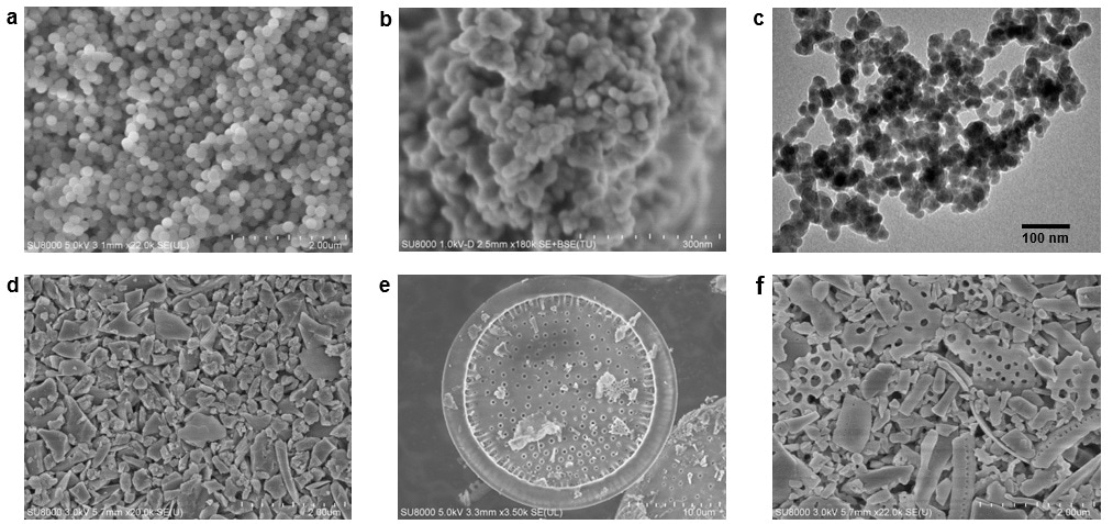 Distinguishing the sources of silica nanoparticles by dual isotopic ...