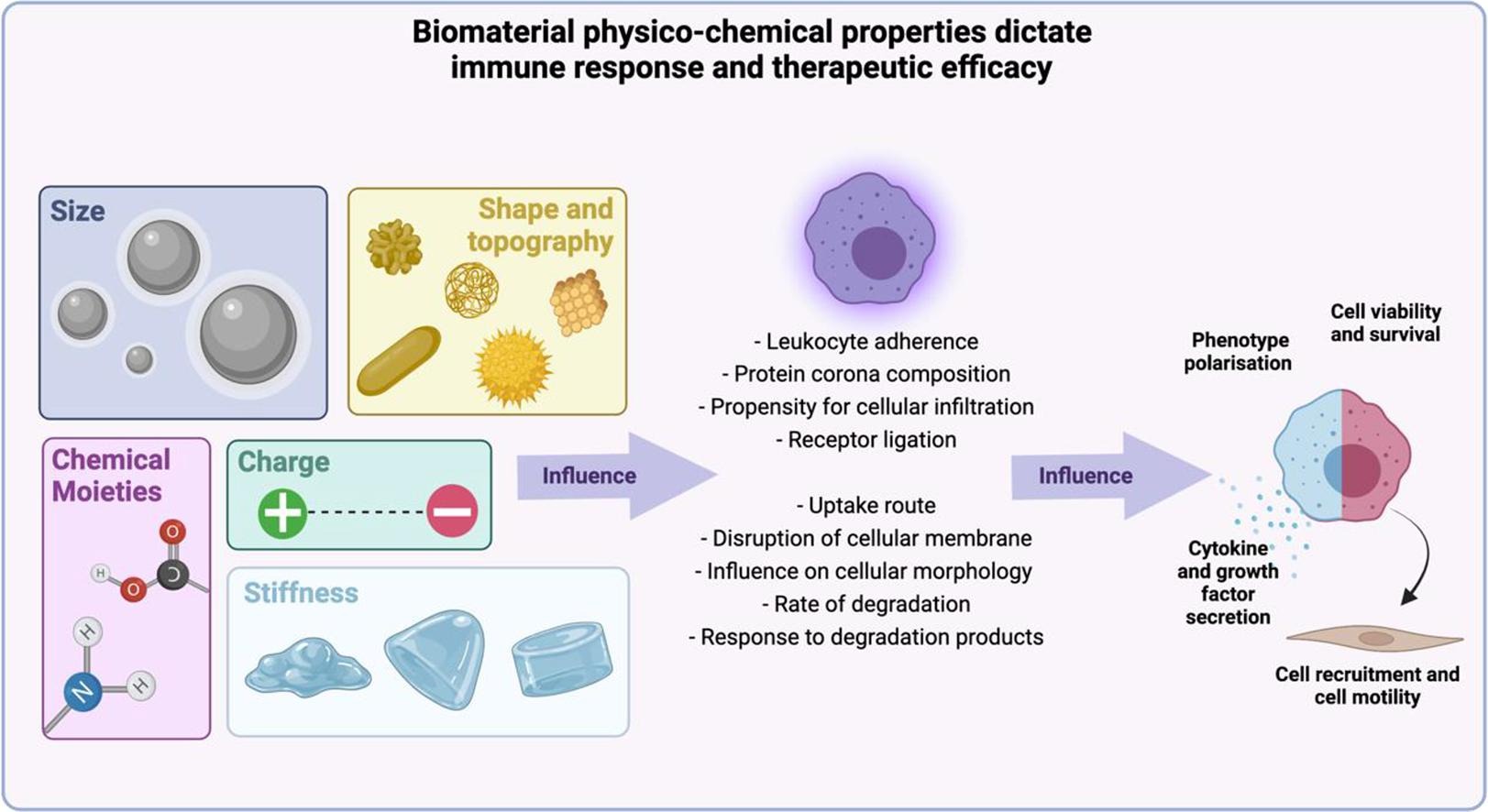 Regenerative medicine at the intersection of materials science and ...