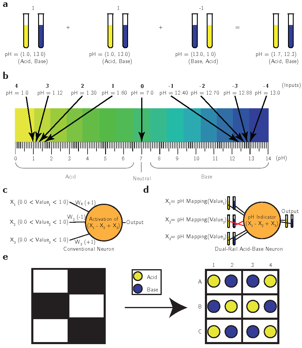 Digital Circuits and Neural Networks using Acid-Base Chemistry ...