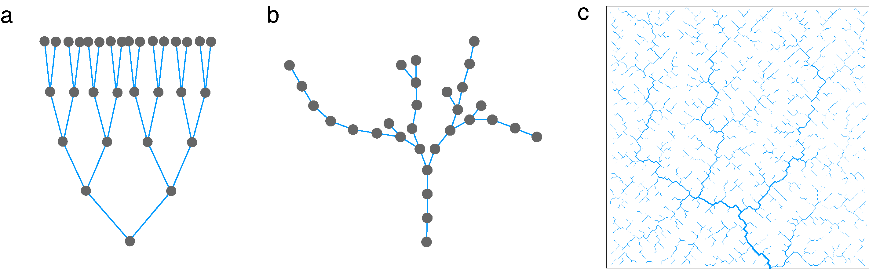 The structure of dendritic river networks shapes ecological dynamics ...