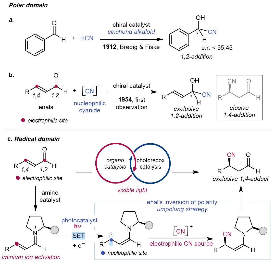 Stereoselective conjugate cyanation of enals by combining photoredox ...