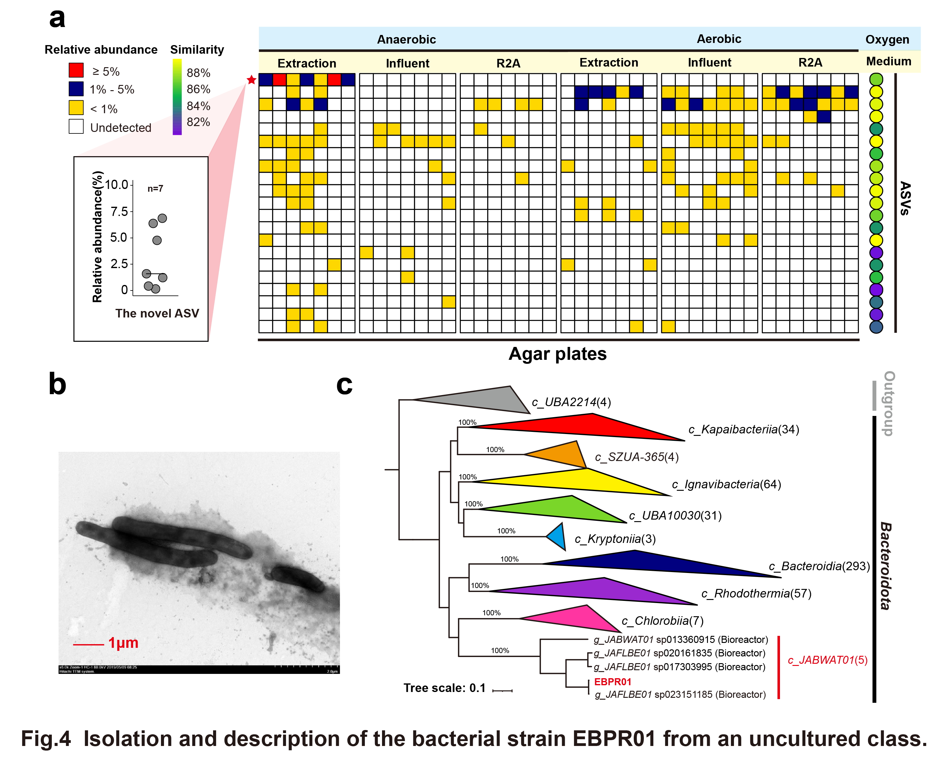 Sequencing-guided re-estimation and promotion of cultivability for ...