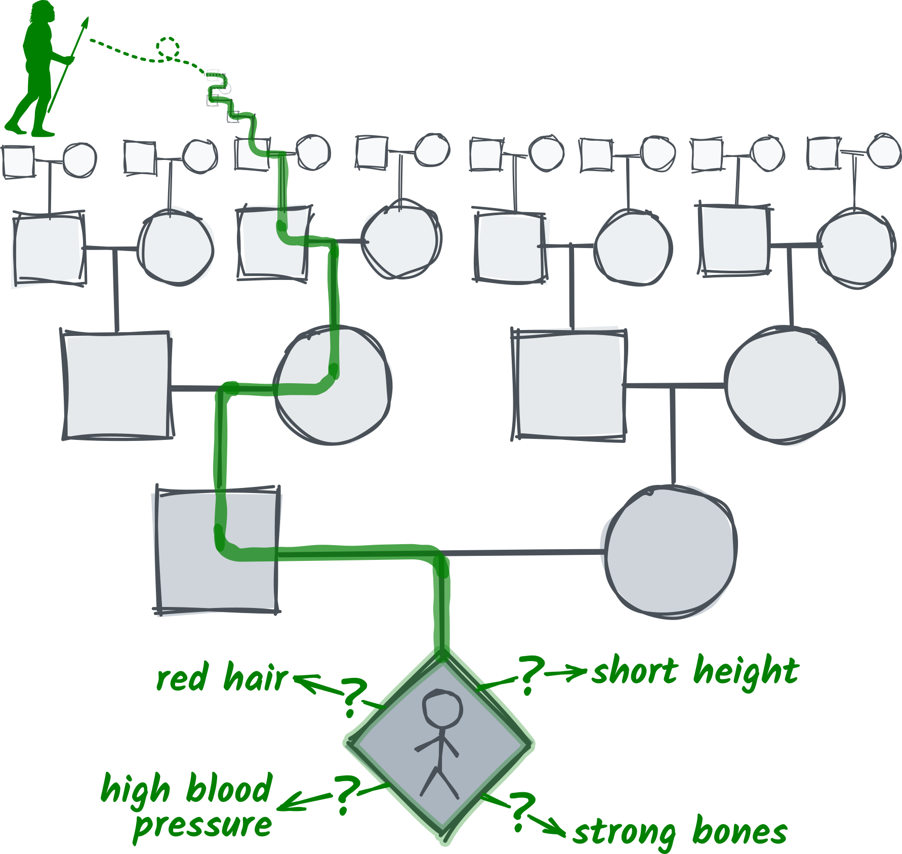 Uncovering the legacy of our Neanderthal ancestors | Research ...