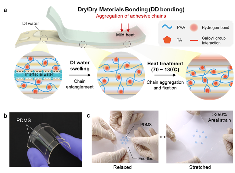 Innovative Hydrogel Adhesives for Seamless Integration of Soft ...