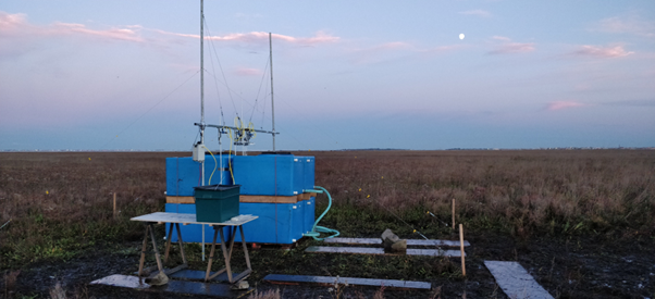 Coastal salt marsh survival detected by novel in-situ experiments: the ...