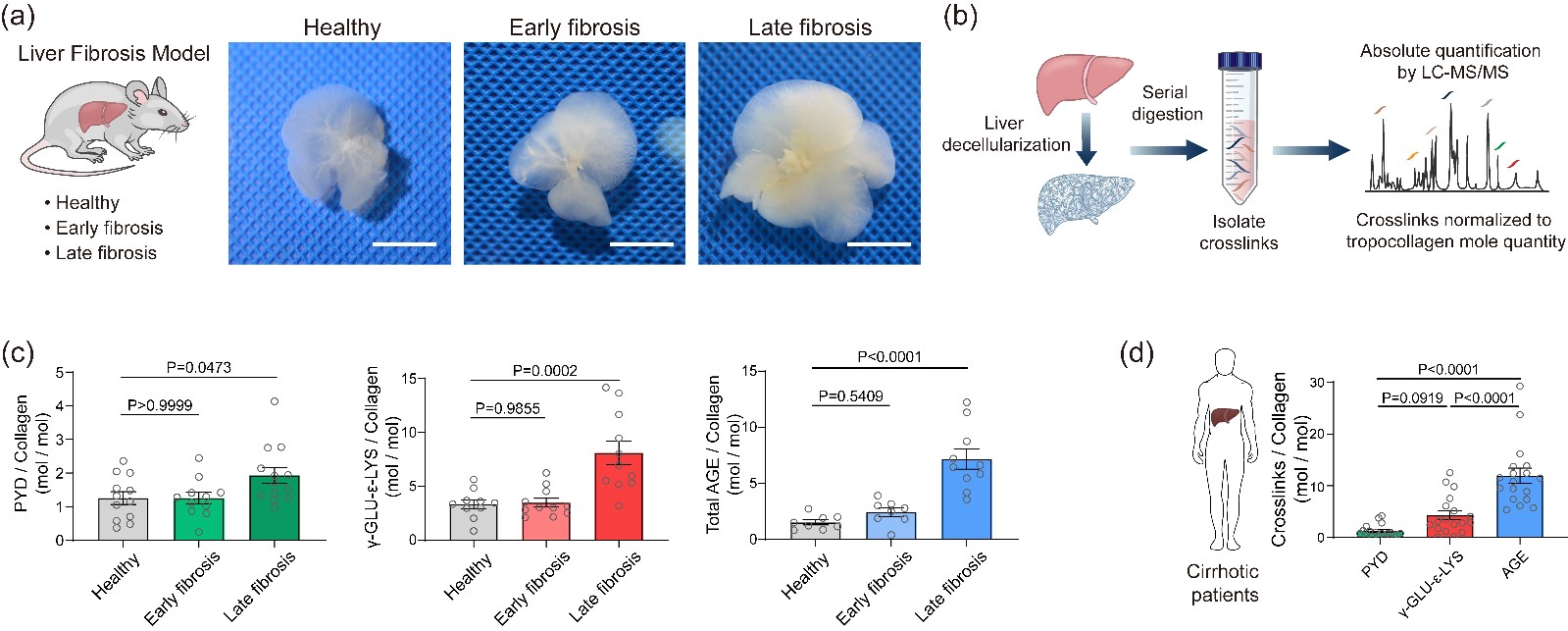 Identification and Reconstruction of AGE-crosslinked extracellular ...