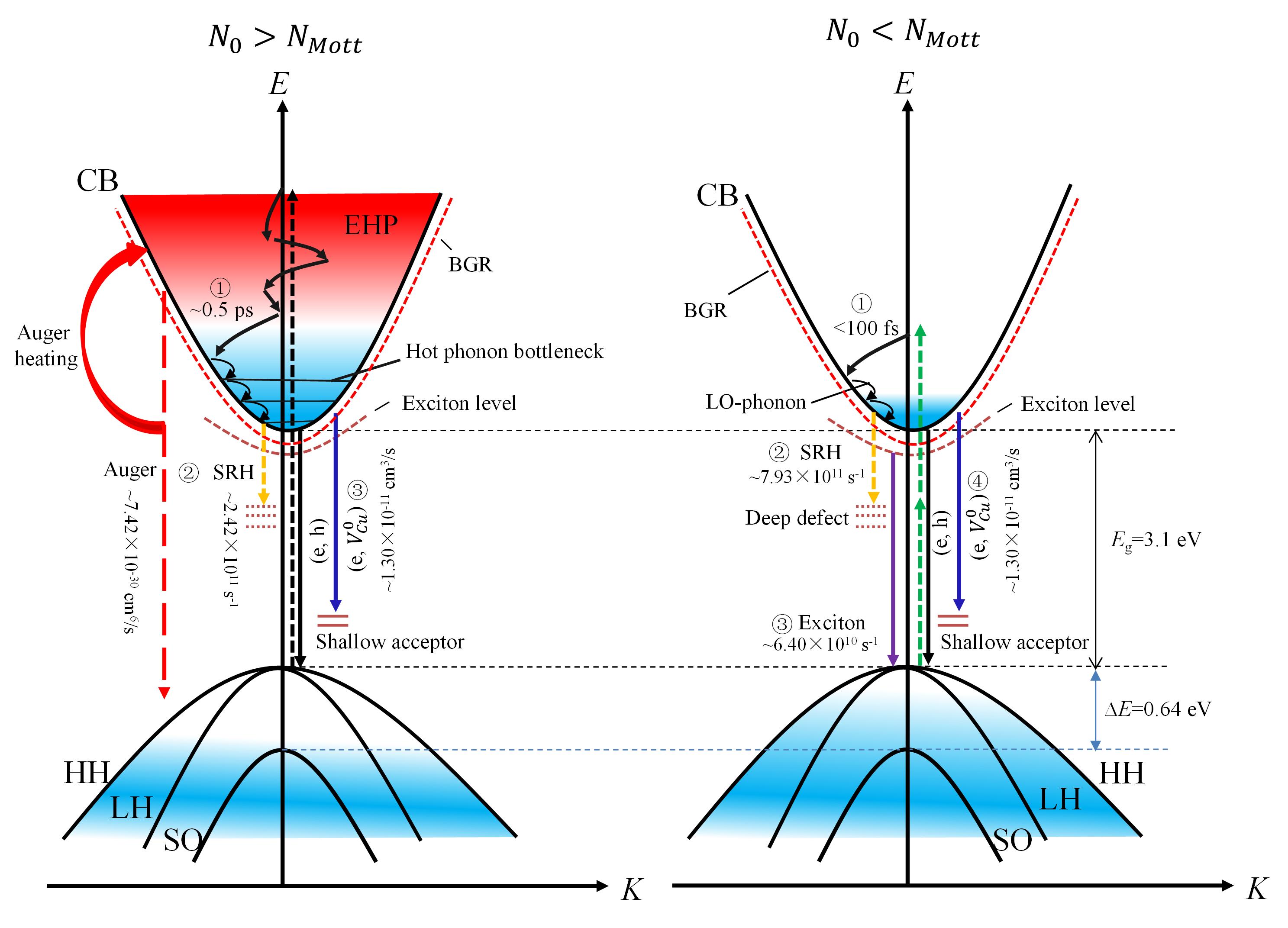 Unveiling the defect/exciton properties and ultrafast carrier dynamics ...