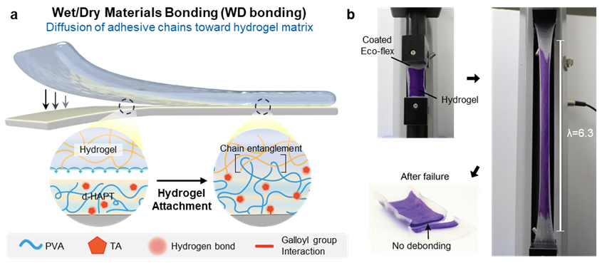 Innovative Hydrogel Adhesives for Seamless Integration of Soft ...