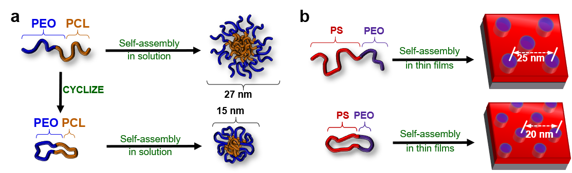 The synthesis, properties and potential applications of cyclic polymers ...