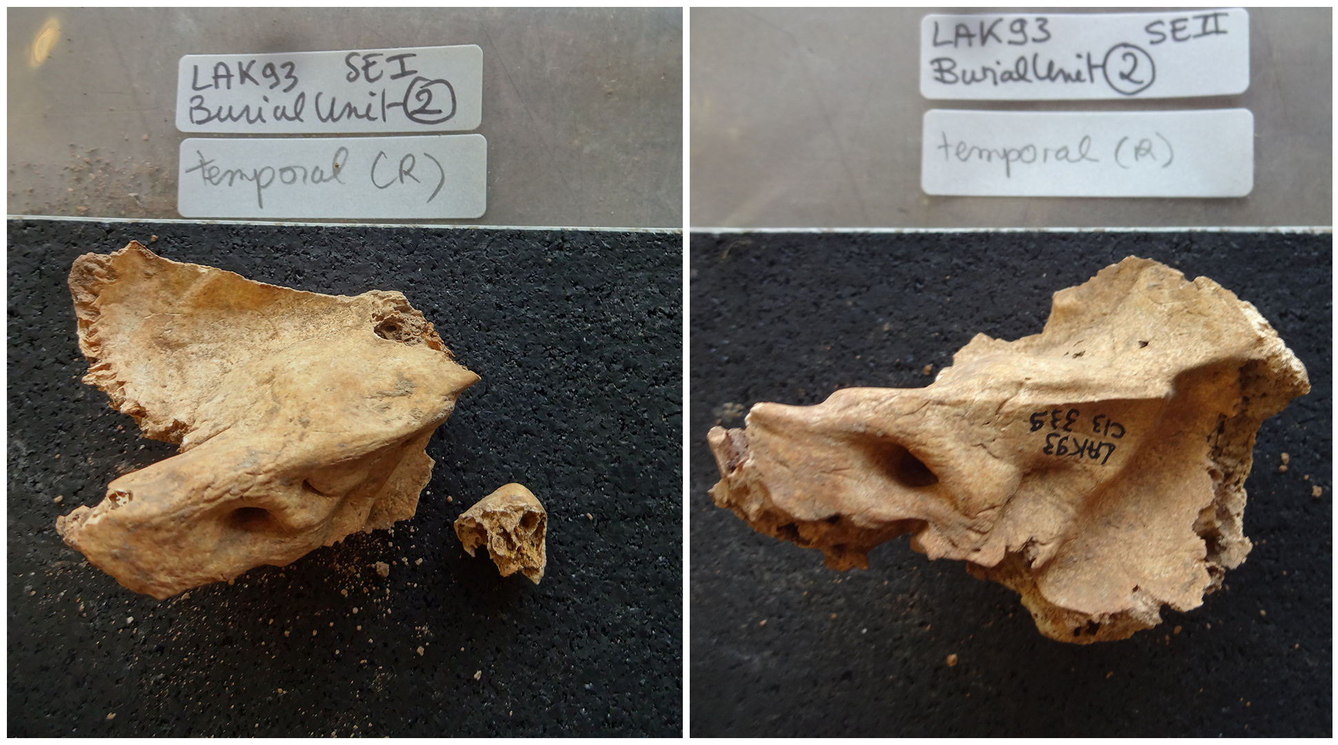 The prehistoric site of Shum Laka (North-West Cameroon) | Research ...