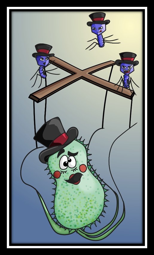 Phage Puppet Masters of the Marine Microbial Realm | Research Communities by Springer Nature