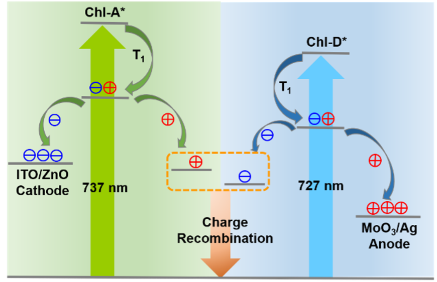 Hydroquinone redox mediator enhances the photovoltaic performance of ...