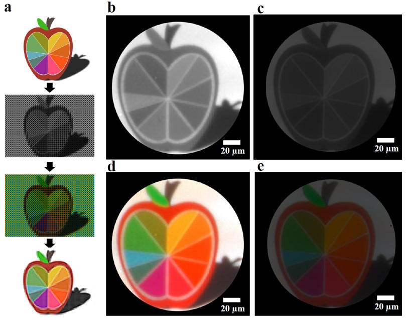 Pixel-level Bayer-type colour router based on metasurfaces used in ...