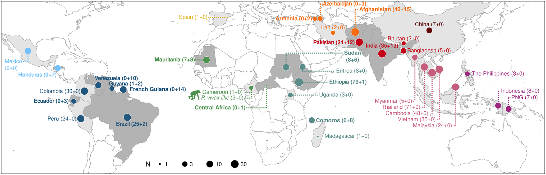 Plasmodium vivax origins in the Americas: A Tale of Multiple Migrations ...