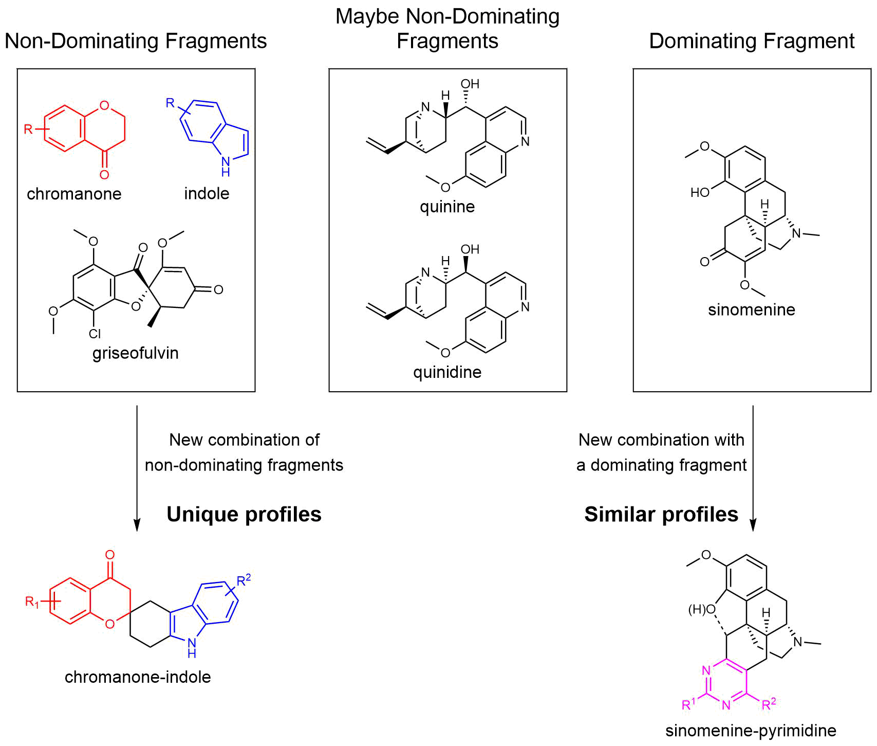 Mixing and Matching Natural Product Fragments Leads to Diverse Pseudo ...